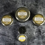 American Sturgeon (Hackleback – Shovelnose) – Show Me Caviar